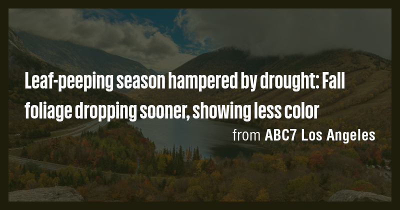 Leaf-peeping season hampered by drought: Fall foliage dropping sooner ...