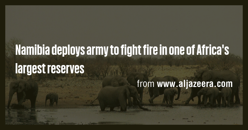 Namibia deploys army to fight fire in one of Africa's largest reserves ...