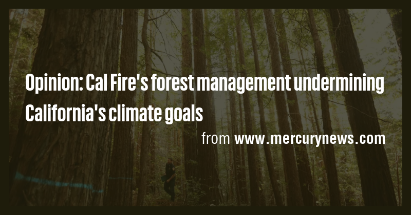 Opinion: Cal Fire's forest management undermining California's climate ...
