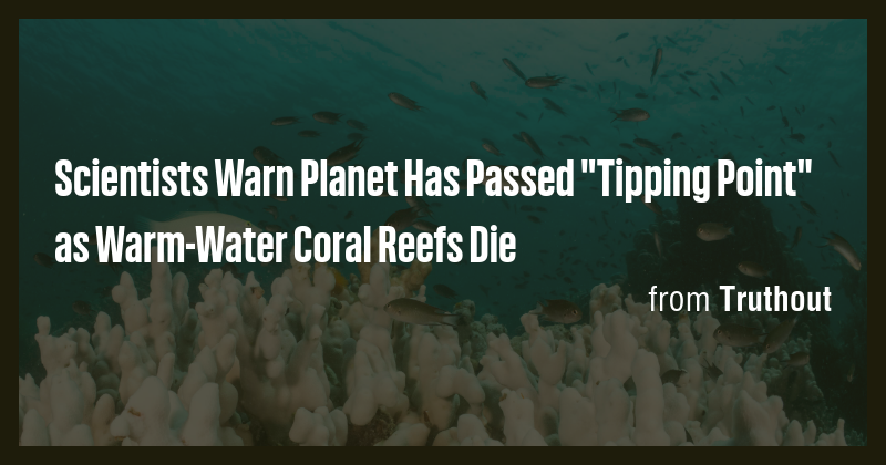 Scientists Warn Planet Has Passed "Tipping Point" as Warm-Water Coral ...