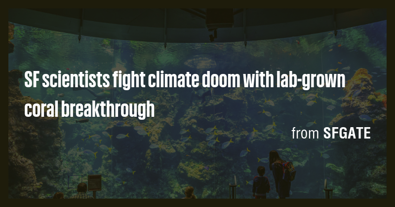 SF scientists fight climate doom with lab-grown coral breakthrough ...