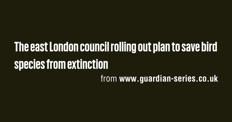 The east London council rolling out plan to save bird species from ...
