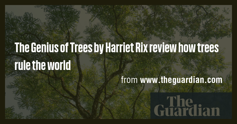 The Genius of Trees by Harriet Rix review how trees rule the world ...