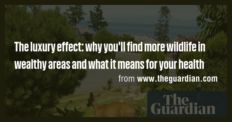 The luxury effect: why you'll find more wildlife in wealthy areas and ...