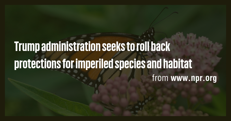 Trump administration seeks to roll back protections for imperiled ...