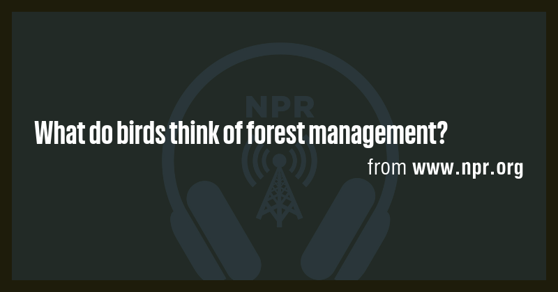 What do birds think of forest management? - Briefly