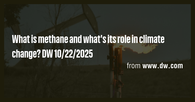 What is methane and what's its role in climate change? DW 10/22/2025 ...