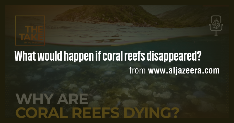 What would happen if coral reefs disappeared? - Briefly
