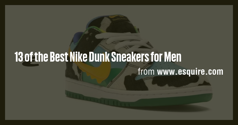 13 of the Best Nike Dunk Sneakers for Men - Briefly