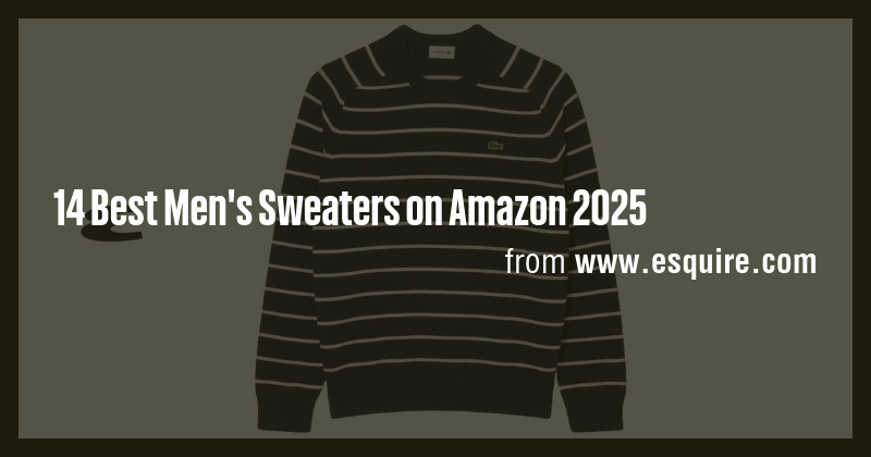 14 Best Men's Sweaters on Amazon 2025 - Briefly