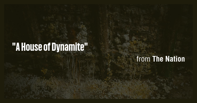 "A House of Dynamite" - Briefly