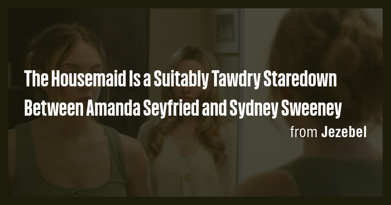 The Housemaid Is a Suitably Tawdry Staredown Between Amanda Seyfried ...