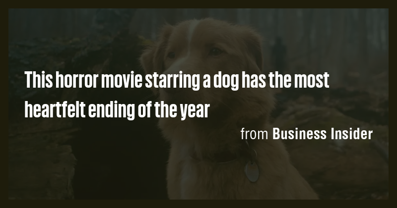 This horror movie starring a dog has the most heartfelt ending of the ...