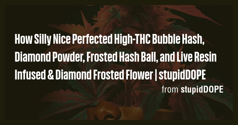 How Silly Nice Perfected High-THC Bubble Hash, Diamond Powder, Frosted ...