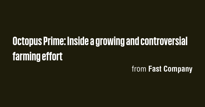 Octopus Prime: Inside a growing and controversial farming effort - Briefly