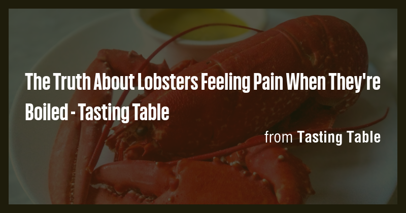 The Truth About Lobsters Feeling Pain When They're Boiled - Tasting ...