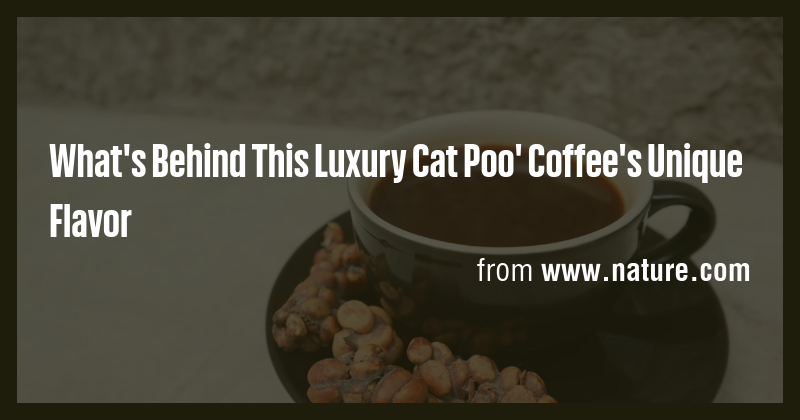What's Behind This Luxury Cat Poo' Coffee's Unique Flavor - Briefly