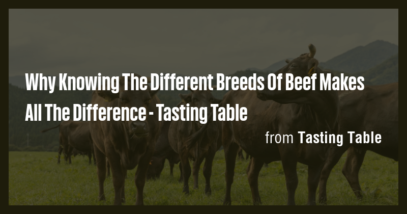 Why Knowing The Different Breeds Of Beef Makes All The Difference ...