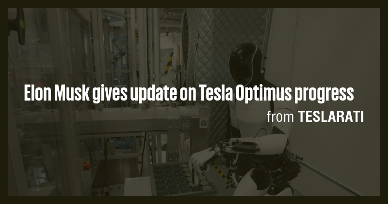 Elon Musk gives update on Tesla Optimus progress - Briefly