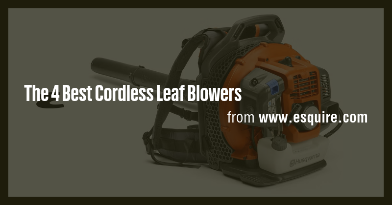 The 4 Best Cordless Leaf Blowers - Briefly