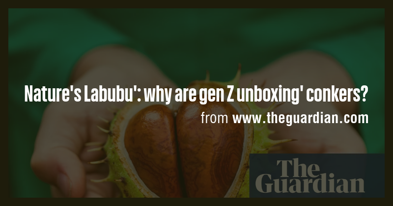 Nature's Labubu': why are gen Z unboxing' conkers? - Briefly