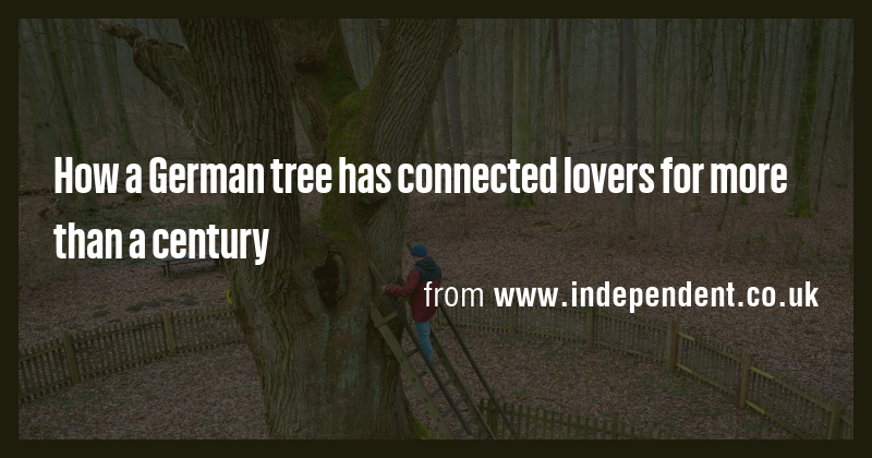 How a German tree has connected lovers for more than a century - Briefly