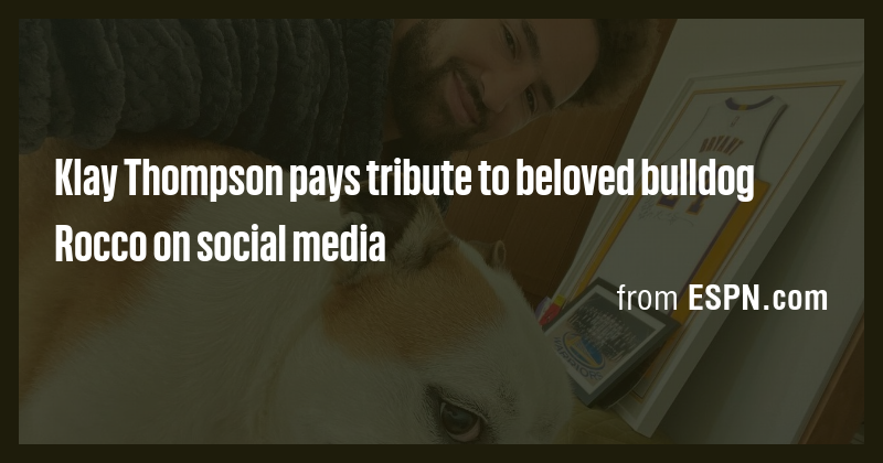 Klay Thompson pays tribute to beloved bulldog Rocco on social media ...