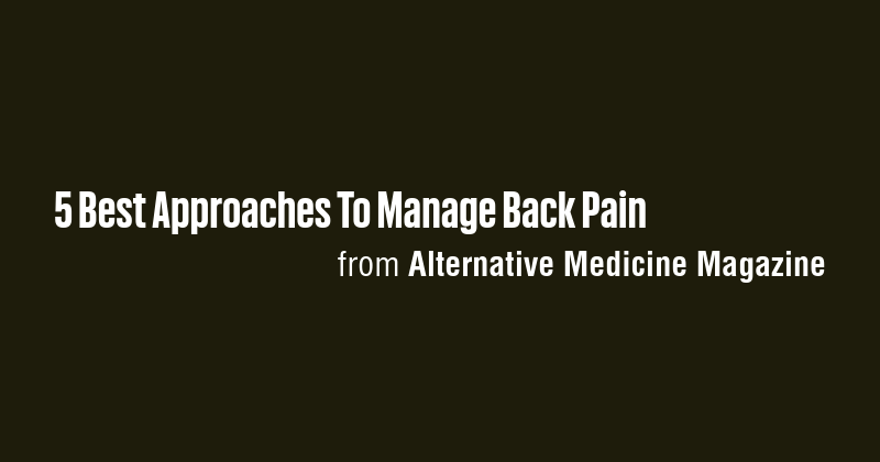 5 Best Approaches To Manage Back Pain - Briefly