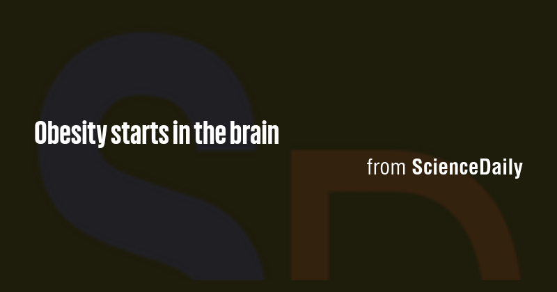 Obesity starts in the brain - Briefly