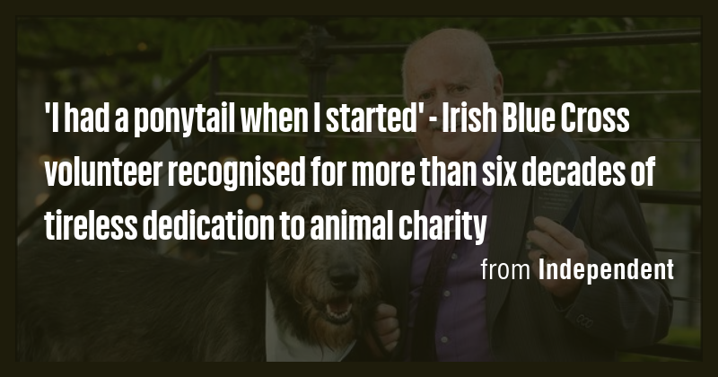 'I had a ponytail when I started' - Irish Blue Cross volunteer ...