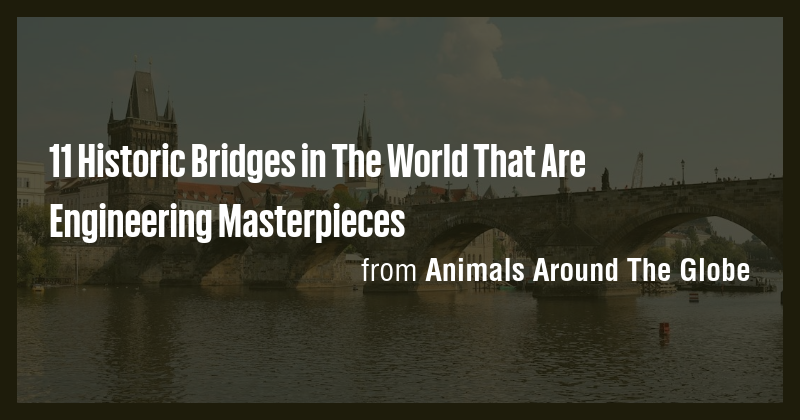 11 Historic Bridges in The World That Are Engineering Masterpieces ...