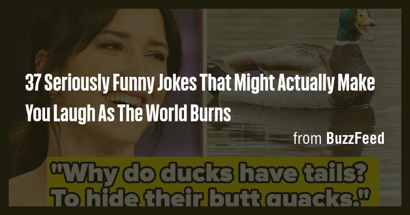 37 Seriously Funny Jokes That Might Actually Make You Laugh As The ...