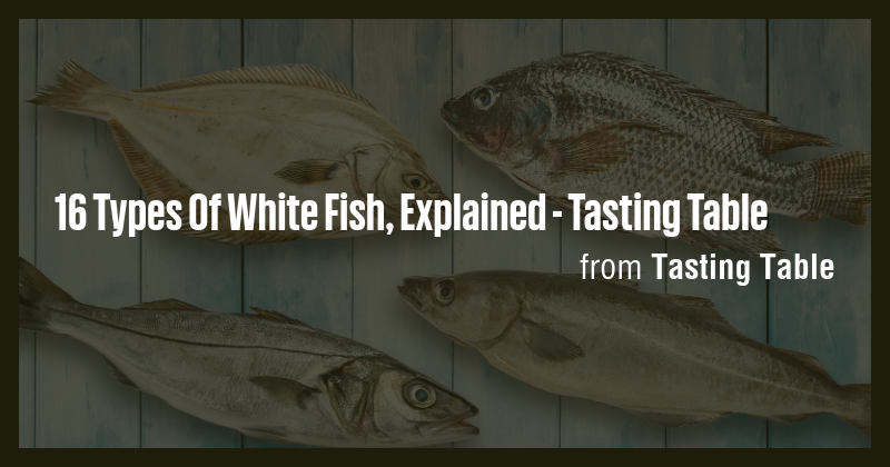 16 Types Of White Fish, Explained - Tasting Table - Briefly