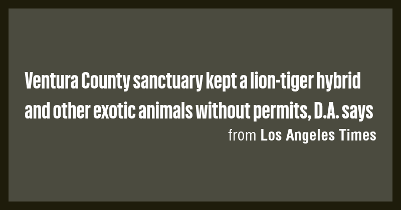 Ventura County sanctuary kept a lion-tiger hybrid and other exotic ...