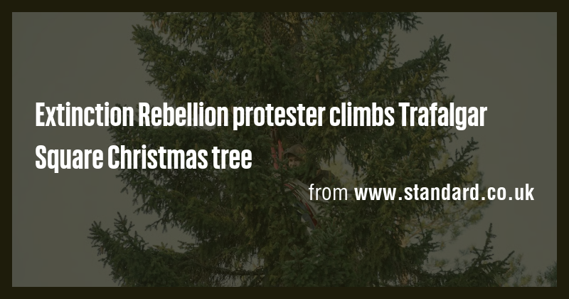 Extinction Rebellion protester climbs Trafalgar Square Christmas tree ...
