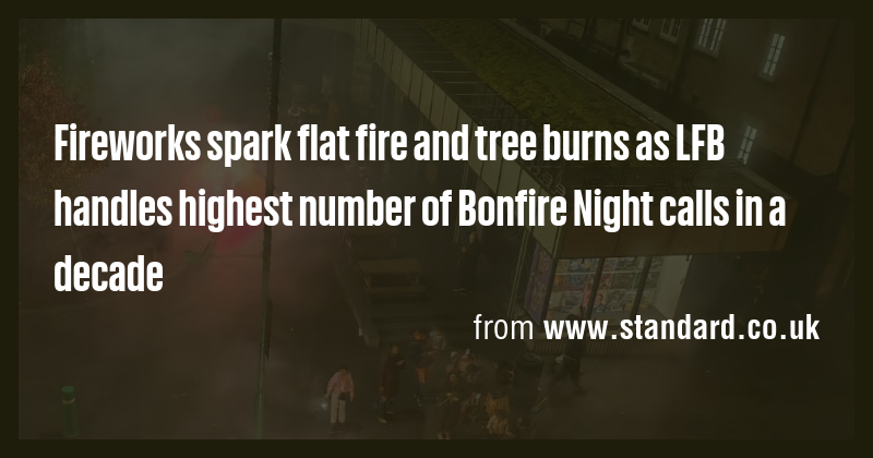 Fireworks spark flat fire and tree burns as LFB handles highest number ...