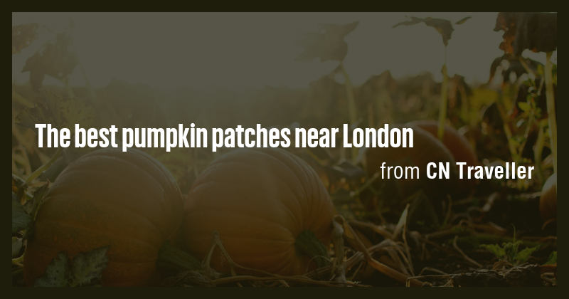 The best pumpkin patches near London - Briefly