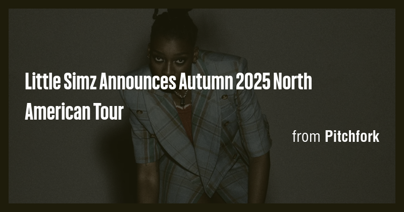 Little Simz Announces Autumn 2025 North American Tour - Briefly