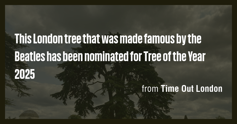 This London tree that was made famous by the Beatles has been nominated ...
