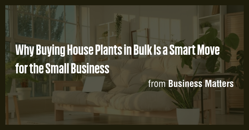 Why Buying House Plants in Bulk Is a Smart Move for the Small Business ...