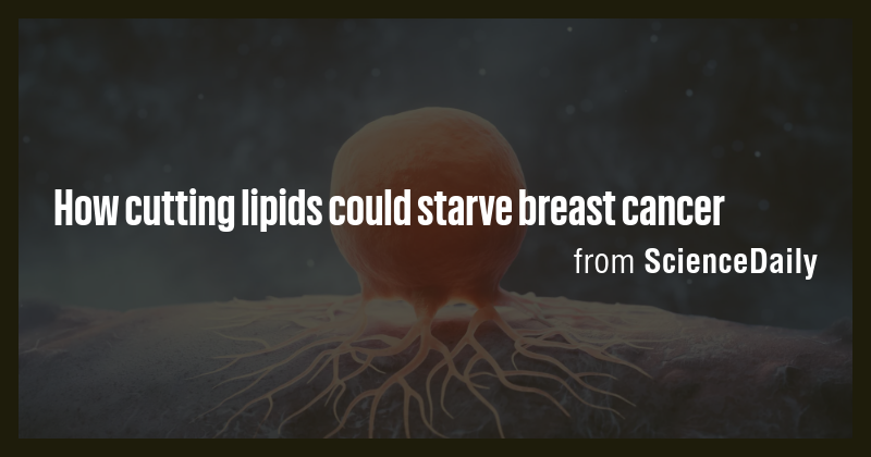 How cutting lipids could starve breast cancer - Briefly
