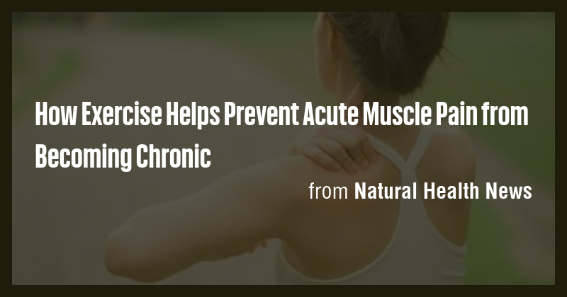 How Exercise Helps Prevent Acute Muscle Pain from Becoming Chronic ...