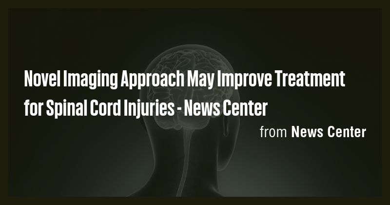 Novel Imaging Approach May Improve Treatment for Spinal Cord Injuries ...