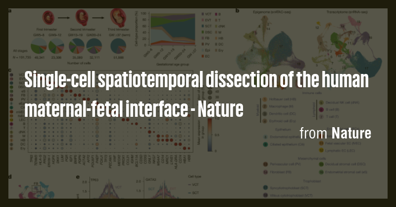 Single-cell spatiotemporal dissection of the human maternal-fetal ...