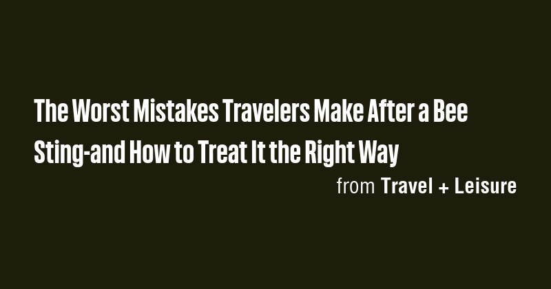 The Worst Mistakes Travelers Make After a Bee Sting-and How to Treat It ...
