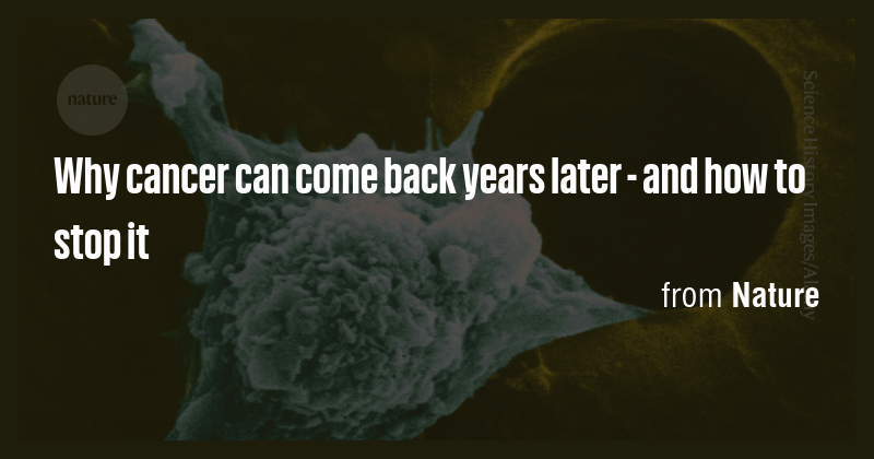 Why cancer can come back years later - and how to stop it - Briefly