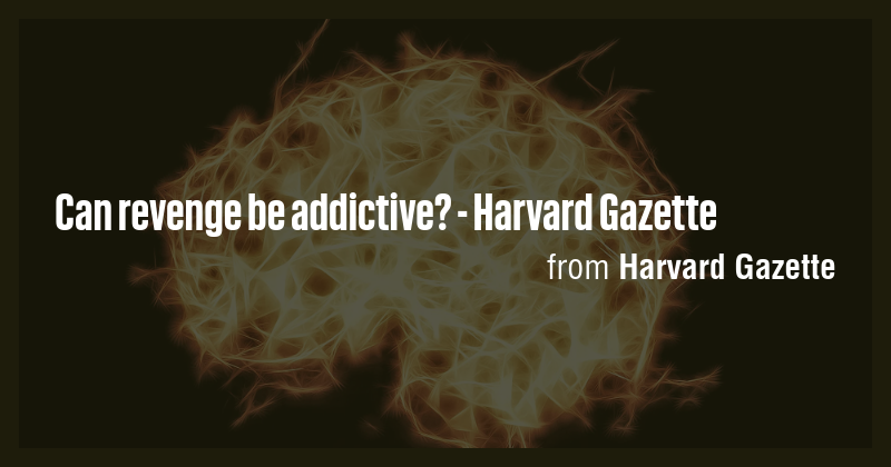Can revenge be addictive? - Harvard Gazette - Briefly