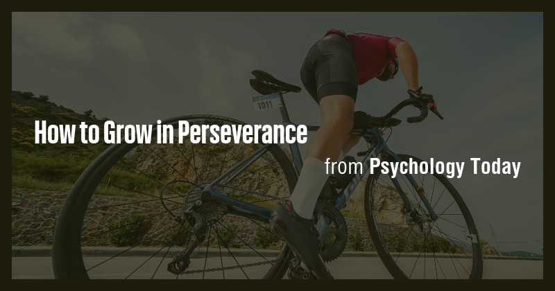 How to Grow in Perseverance - Briefly