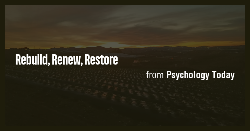 Rebuild, Renew, Restore - Briefly