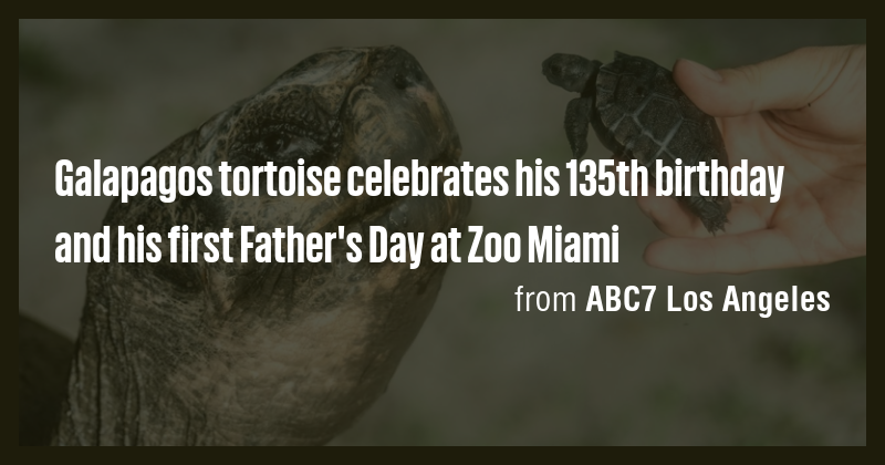 Galapagos tortoise celebrates his 135th birthday and his first Father's ...